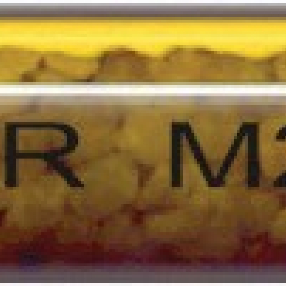 Liquid Roc 300 Capsule Adhesive | Unistrut Hawaii | Honolulu, Hawaii